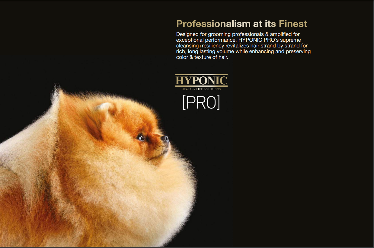 Elevate Your Grooming Game With The Hyponic Pro Line HYPONIC Ireland Elevate Your Grooming Game With The Hyponic Pro Line HYPONIC Ireland
